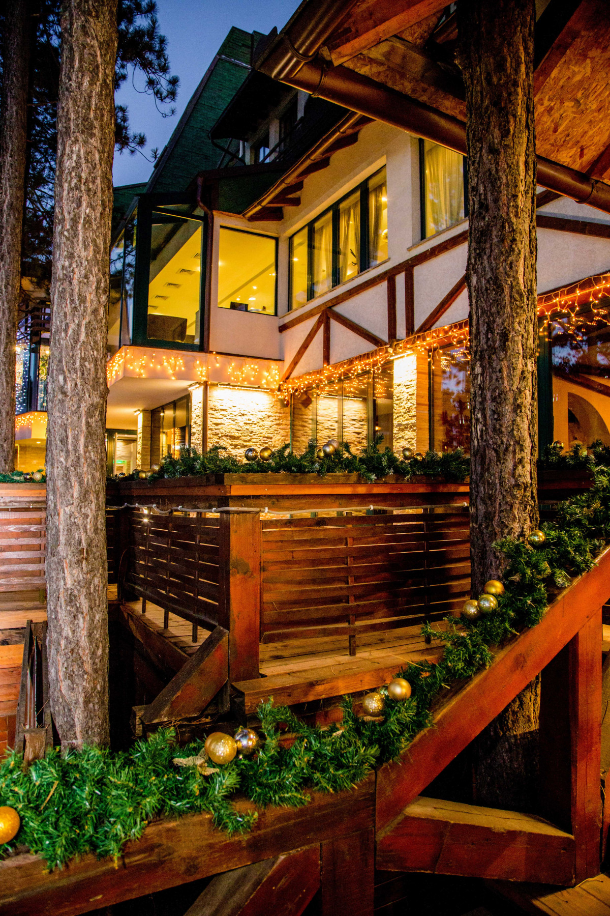 NOVA GODINA U MONI | Hotel Mona Plaza Zlatibor